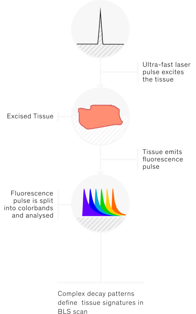 BLS Technology - Black Light Surgical